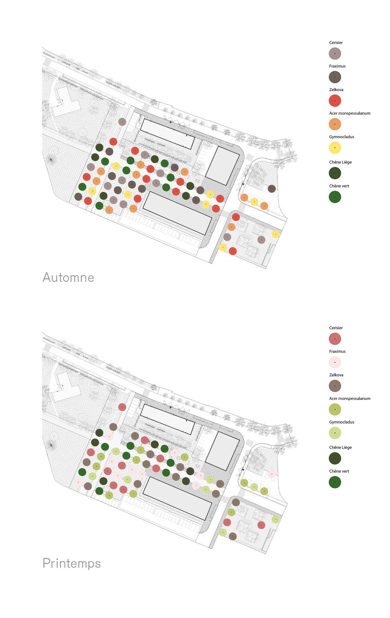 Aménagement de la place Papus à Toulouse | Atelier Füzesséry Landauer